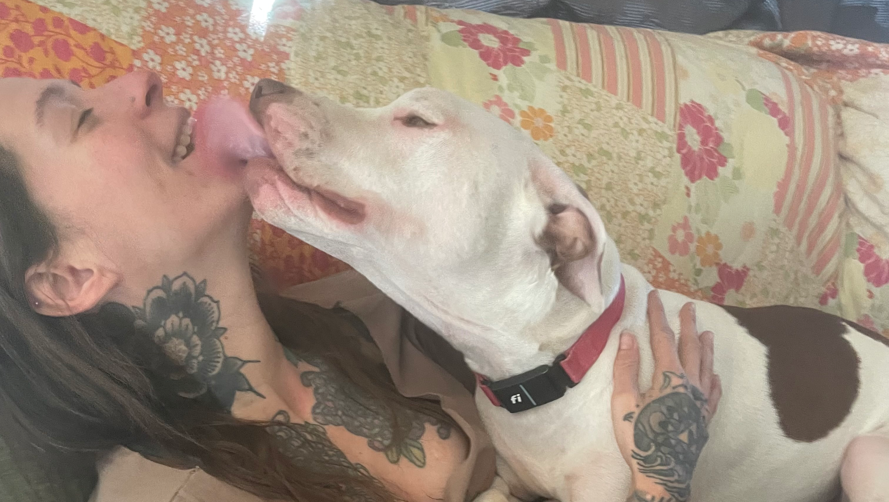Fundraiser for Jacquelyn Singer by Meghan Poole : Support Jackie's Healing