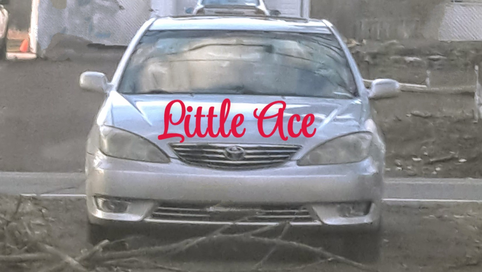 Fundraiser by Lex Rivera : Help Lex and Ace Get Back on the Road