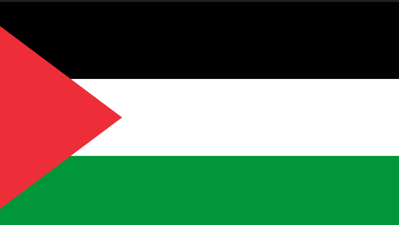 Fundraiser by Kayleigh Bird : Palestine deserve help