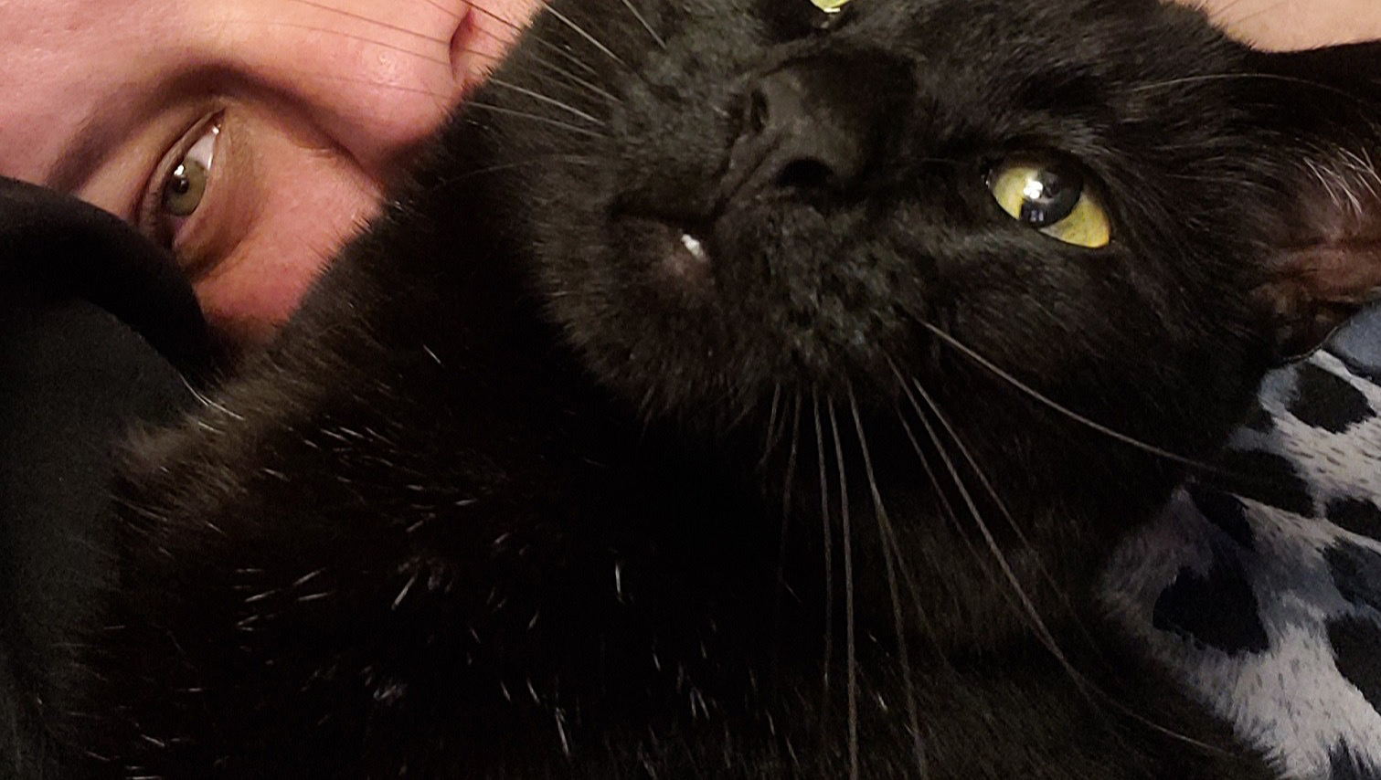 Fundraiser by Jenell Boehl : Help Cover Medical Costs and Lost Income