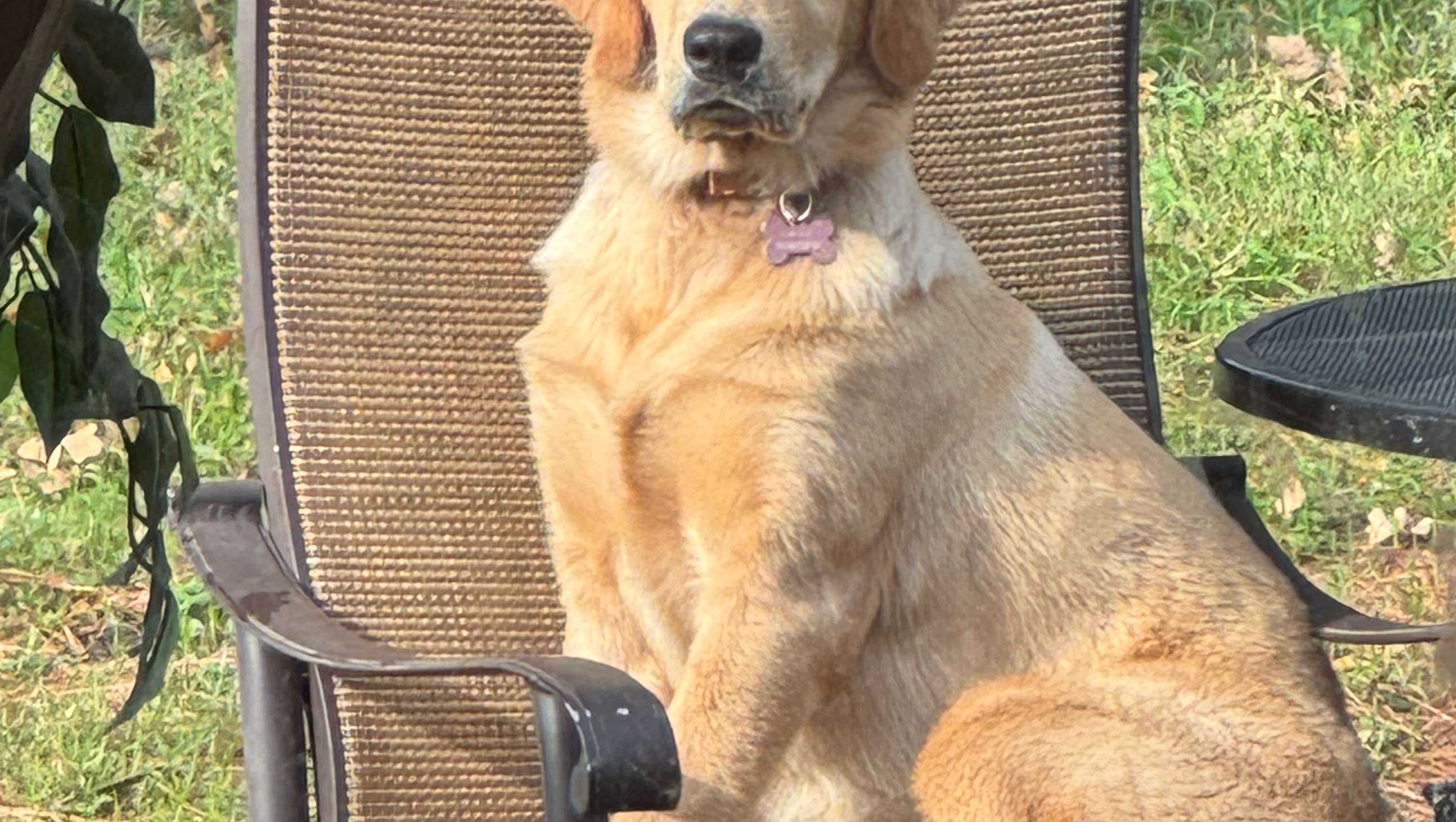 Fundraiser for Christian Lemus by Makenna Sanchez : Support Christian ...