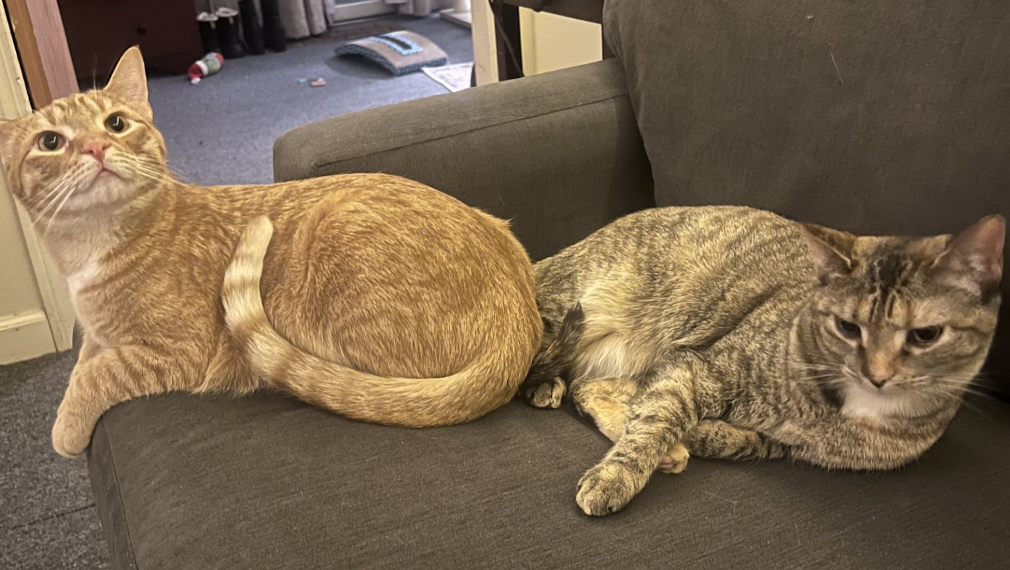 Fundraiser by Madelyn Karadimas : Support Dave and Meredith's Heart Health