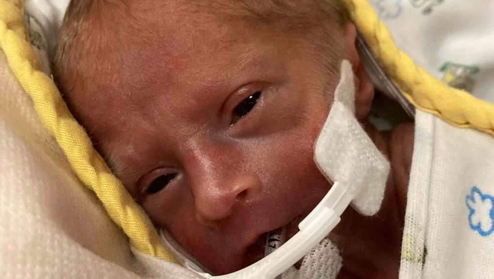 Fundraiser for Noah Beck by Michaella Smith : Help Noah and Danielle ...