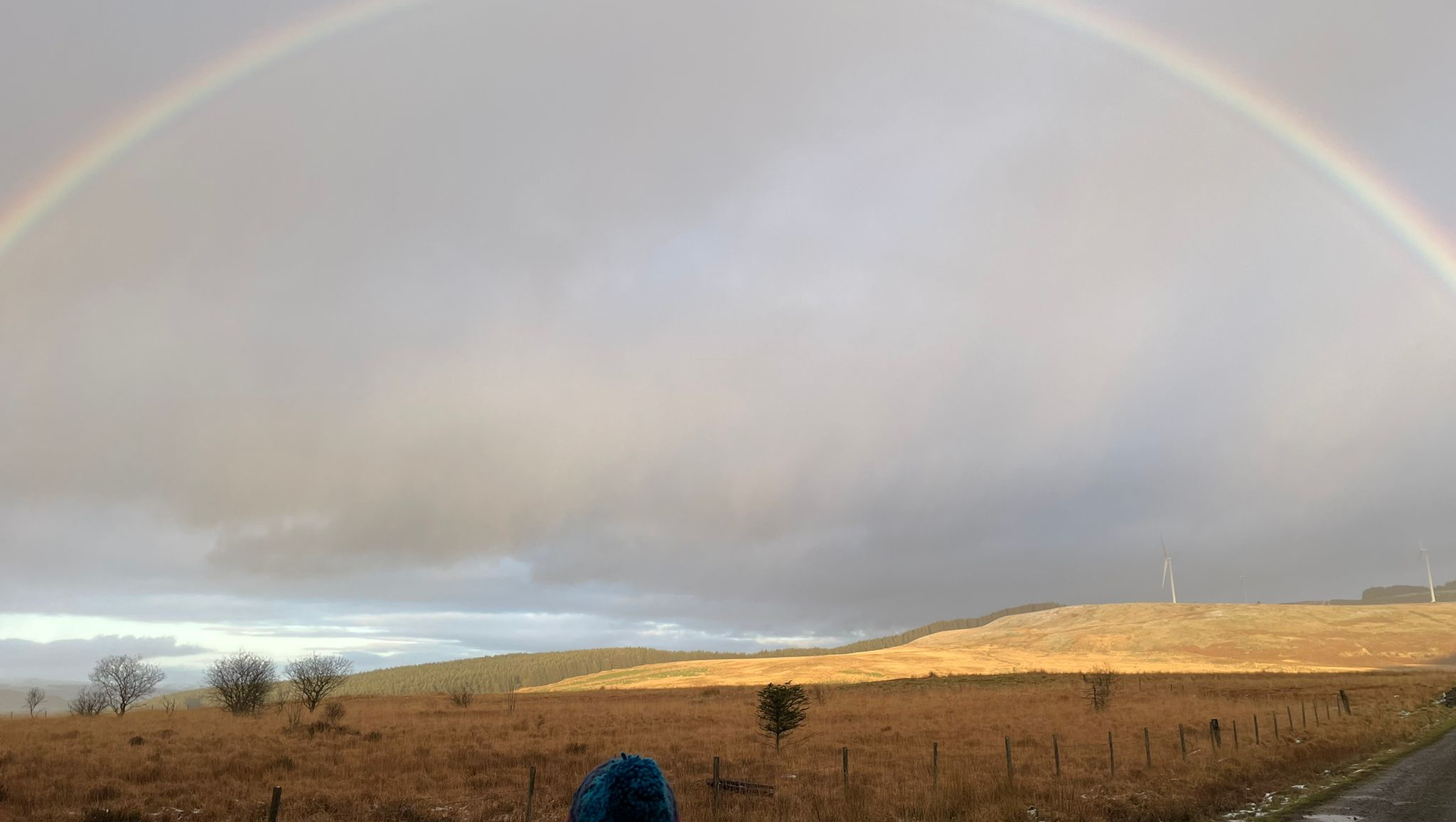 Fundraiser by Christa Bonham-Griffiths : Help for a friends son