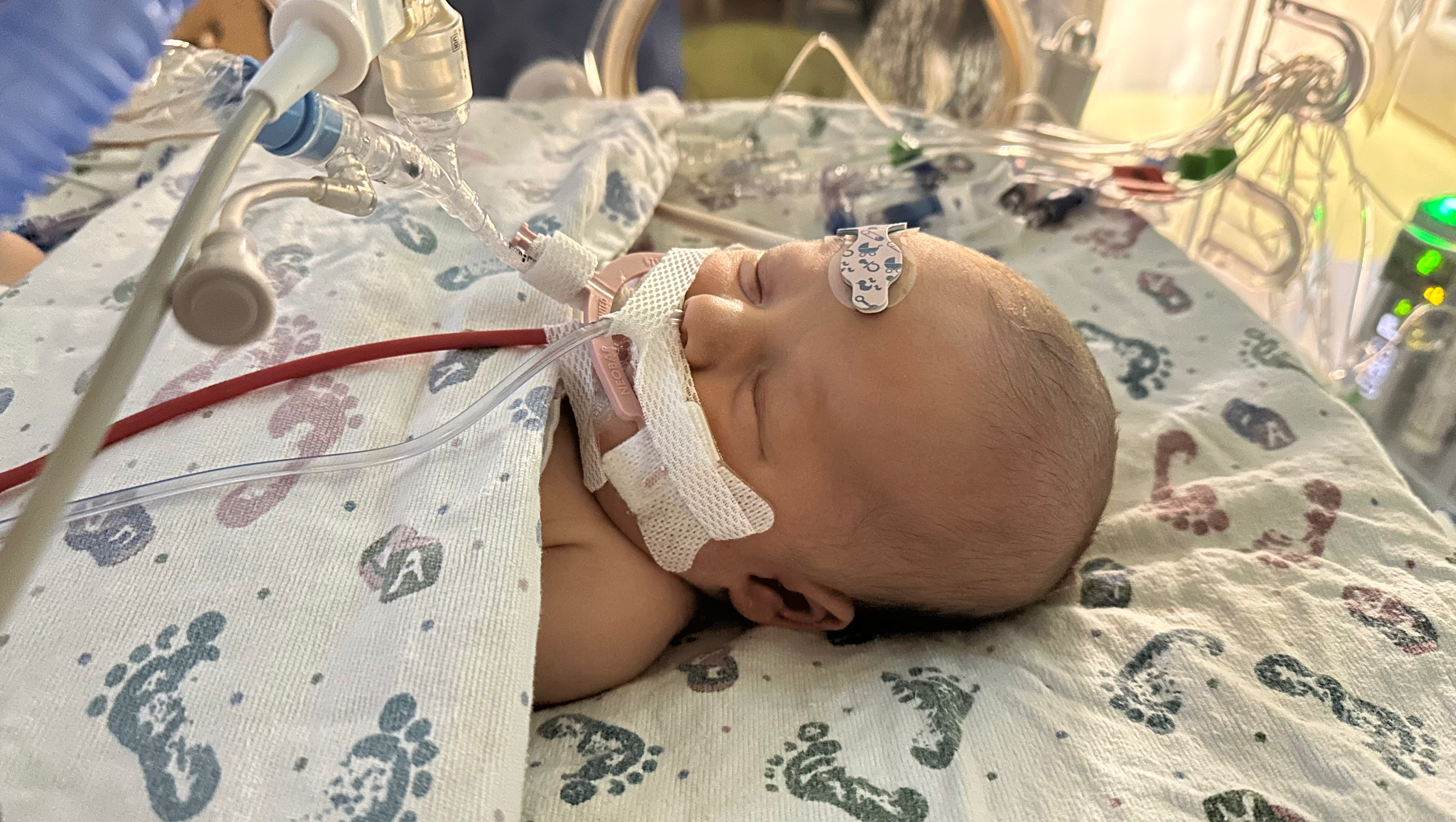 Fundraiser for Trinity Welch by Nick Perdue : Urgent Support for Baby ...