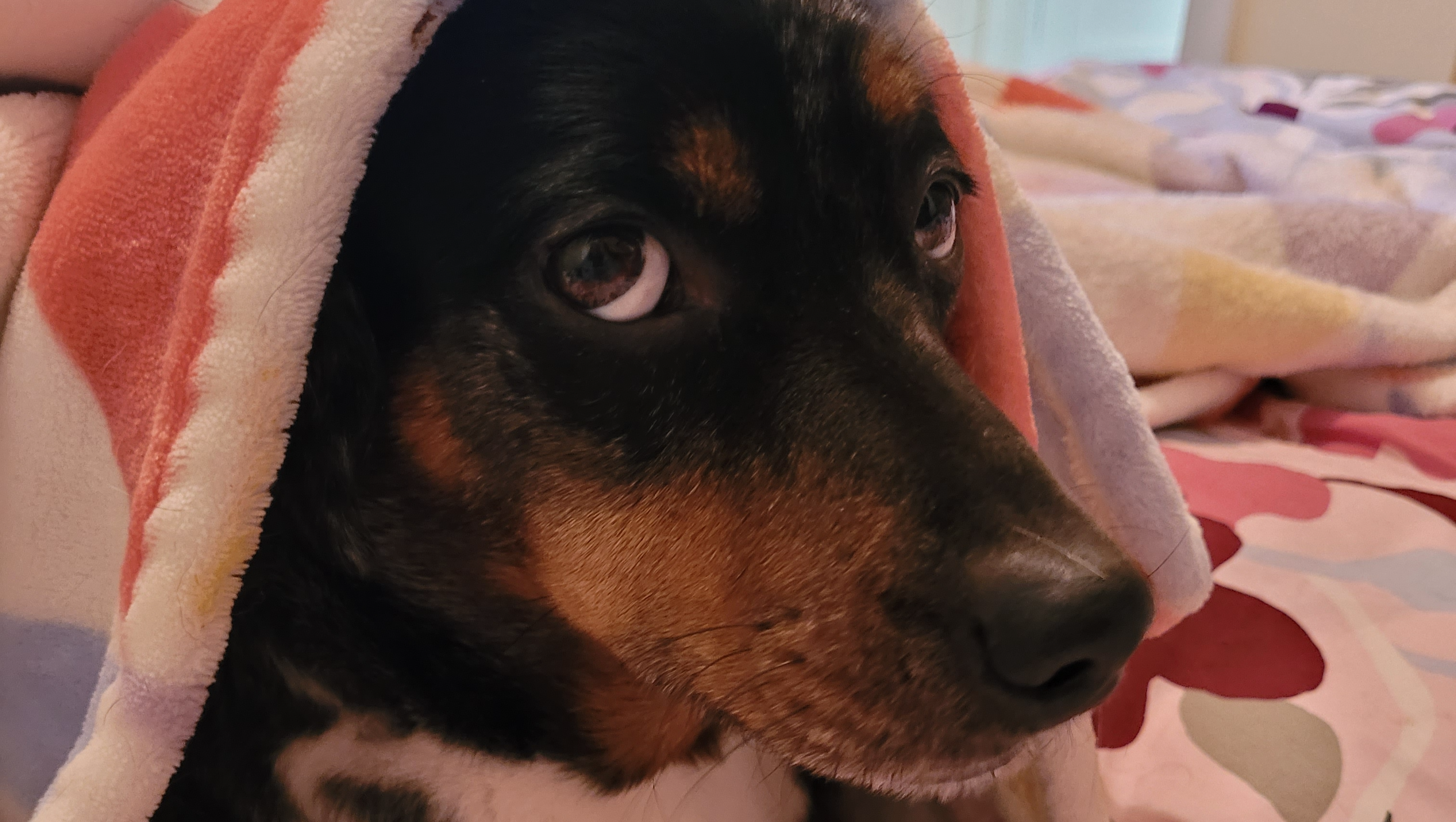 Fundraiser by Erynn Balmer : Support Simon's Recovery from Spinal Surgery