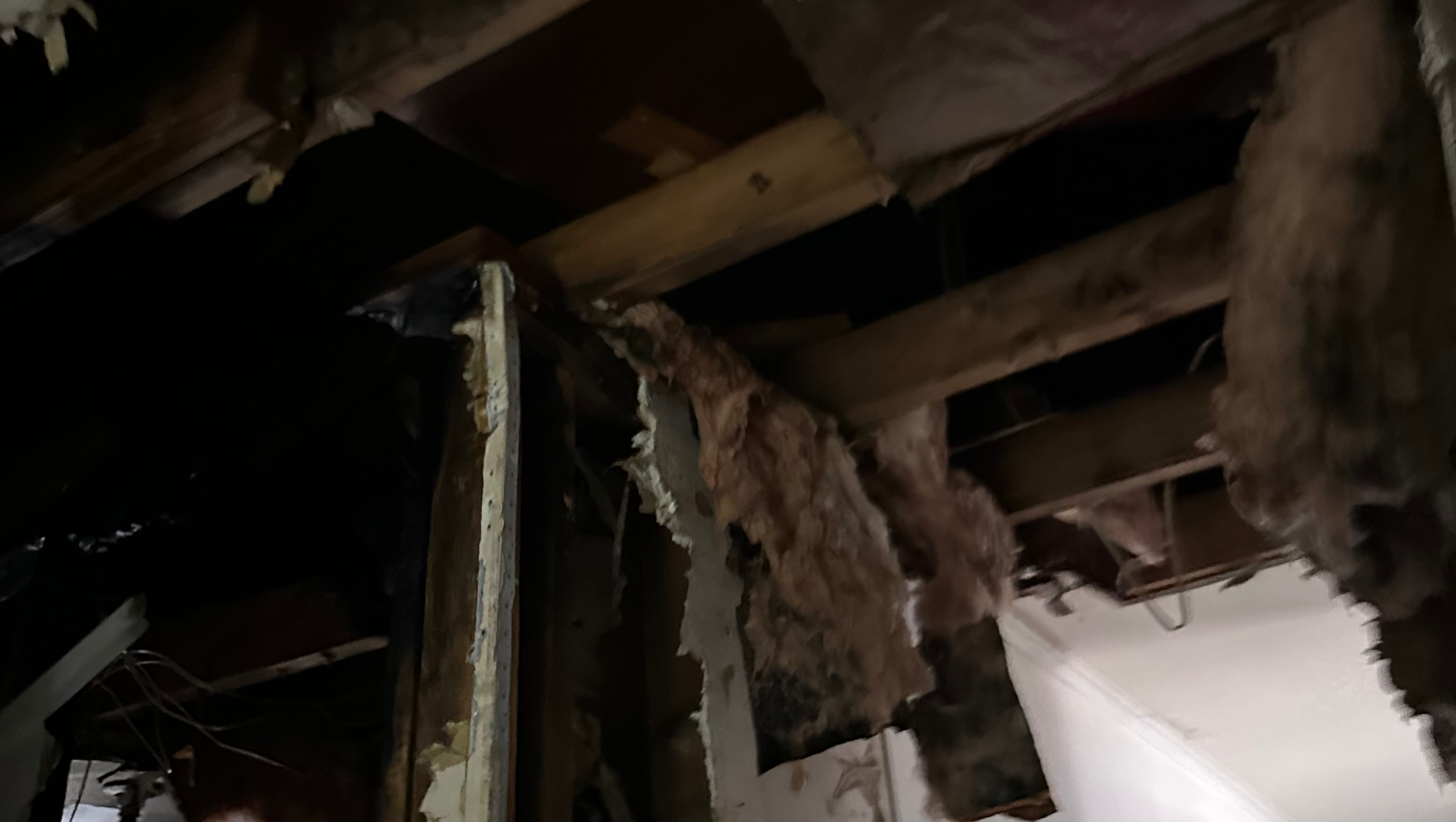 Fundraiser for Rachel Steitz by Julia Roberson : Support Rachel Steitz ...