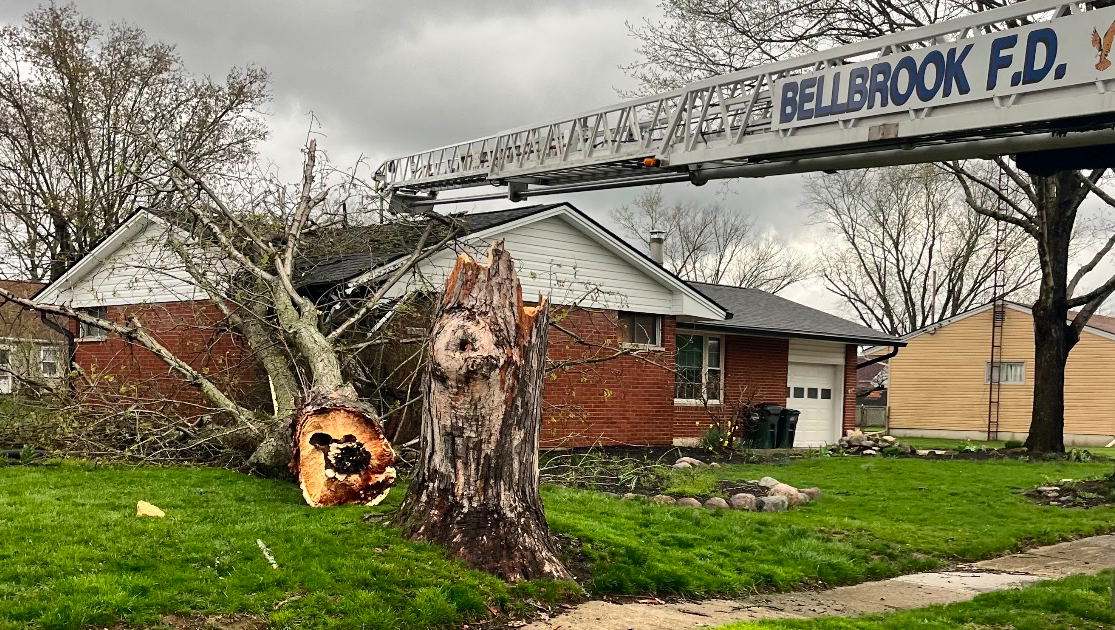 Fundraiser for Jodie Schweickart by Kelly Dailey : Help Gary and Jodie ...