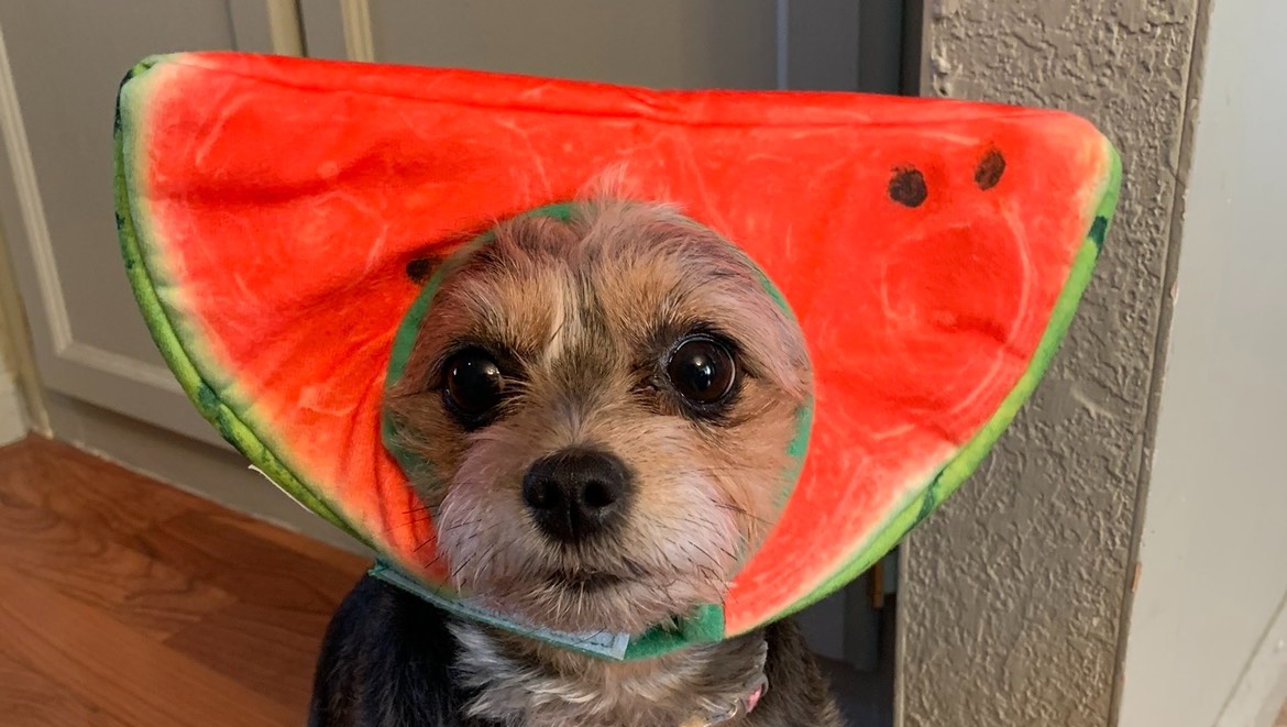 Fundraiser for Kristen Pulliam by Kelly Pulliam : Help Kristen Save Her ...