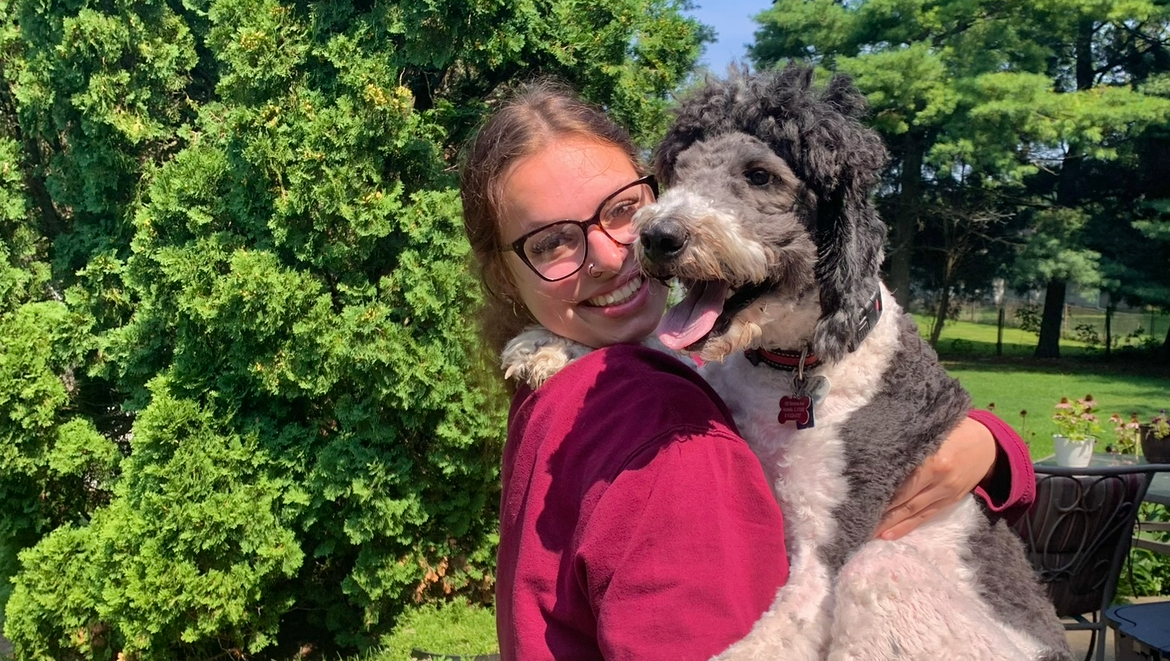 Fundraiser by chelsie Baker : Help Sutton Overcome Immune-Mediated ...