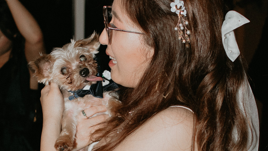 Fundraiser by Jamie Ryu : Support Junior's Final Journey