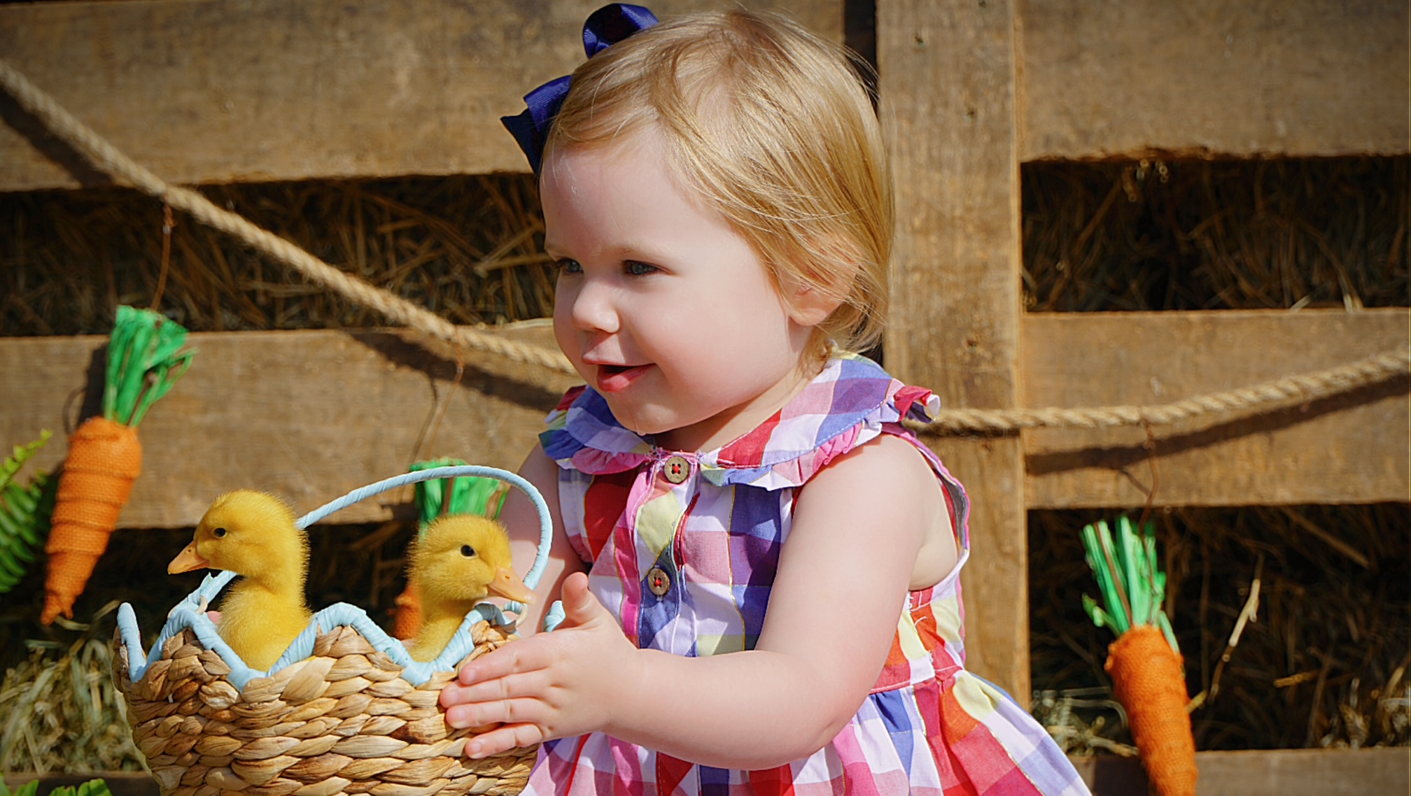 Fundraiser by Krista Stull : Support Presley Seagroves' Type 1 Diabetes ...