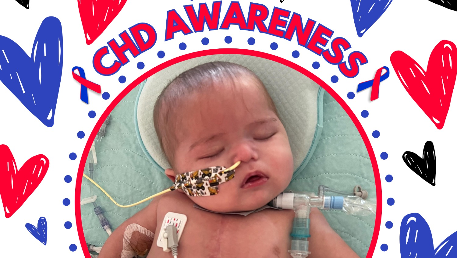 Fundraiser for Skye Wolfley by Harlee Smart : Support Creed's Journey ...