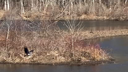 Fundraiser for Kathy Lilly by Kristi Sansone : Support for Rebuilding ...