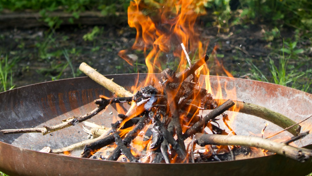 Fundraiser by Cath Malone : Help Growing Forward Grow Forward