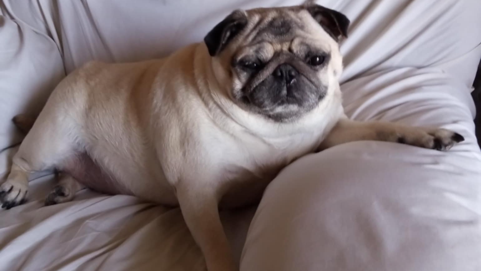 Fundraiser by Cheryl Butler : Be Dezi Rae's Angel: Aid Her Healing Journey