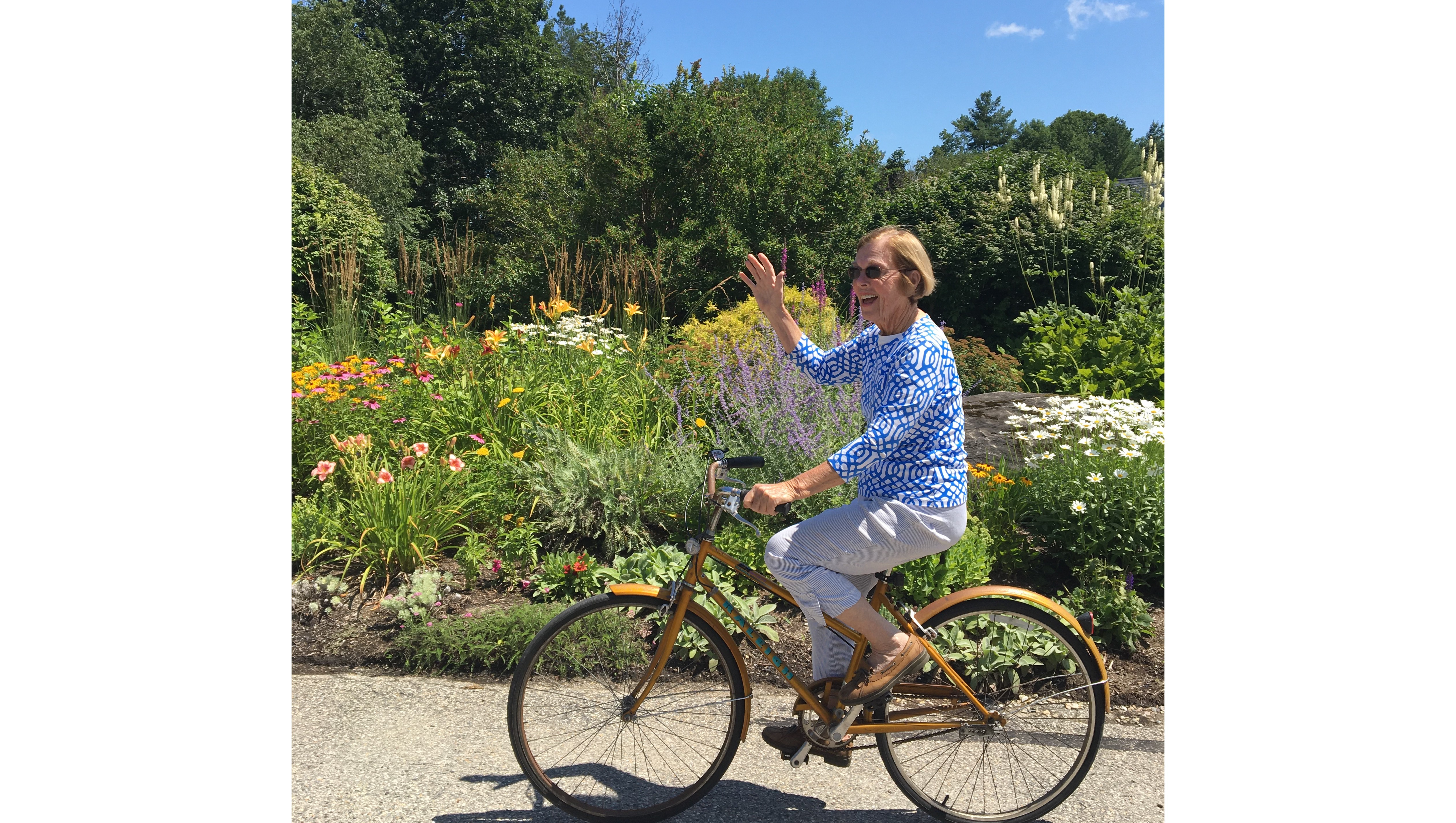 Fundraiser by Judith Robbins : Ann Shaver Hammer Memorial Garden