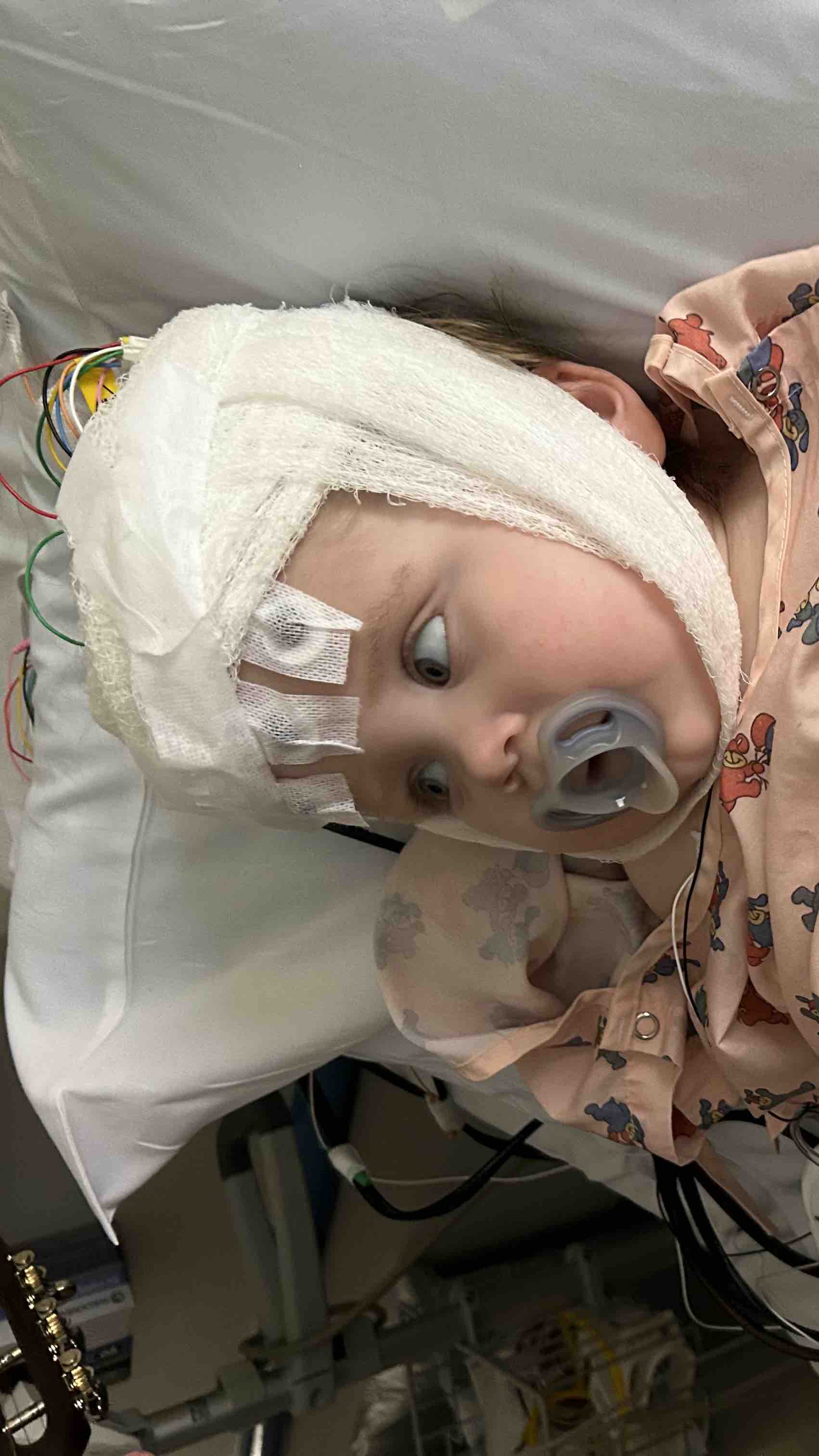 Fundraiser for Sandra Stangohr by Bailey Appleton : Support Elsie's journey