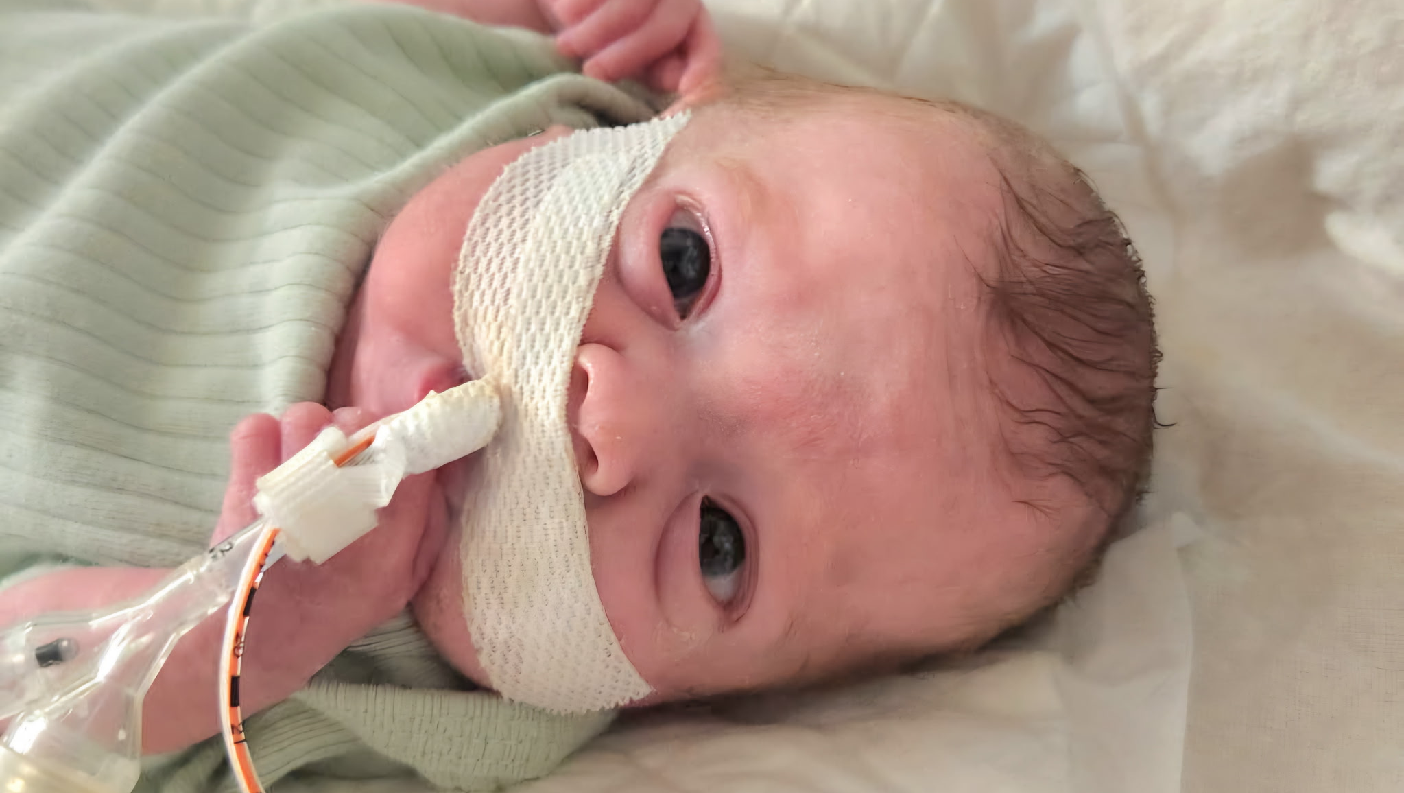 Fundraiser for Taimoor Zahir by Alexis Grandy : Almira's Journey: Hope Against the Odds