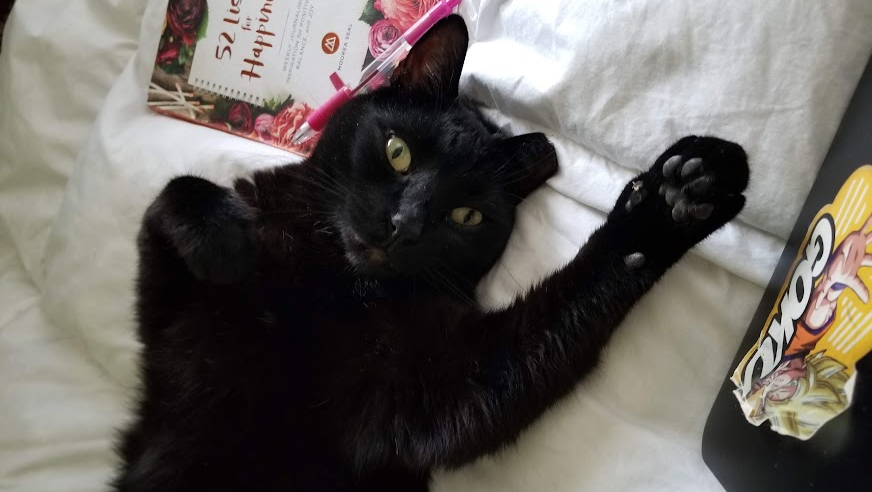 Fundraiser for handsinthegarden twitch by Latrodectha Twitch : Binx ...