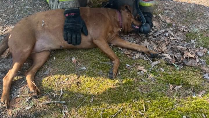 Fundraiser for Mary Barden by Marilyn Barden : Support for Barden ...