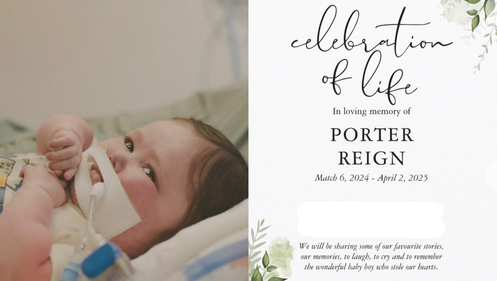 Fundraiser for Tyler Goforth by Michael Hancock : In Memory of Porter ...