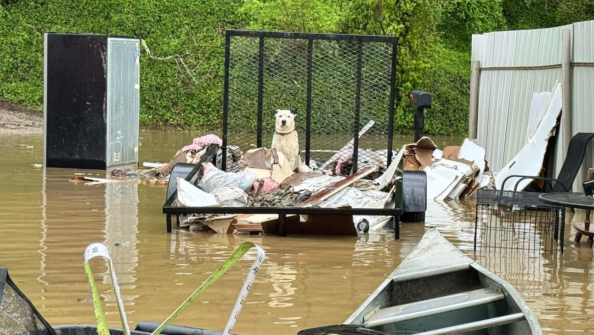 Fundraiser for Angela Simpson by Charlye Dotson : Angela’s Family in ...