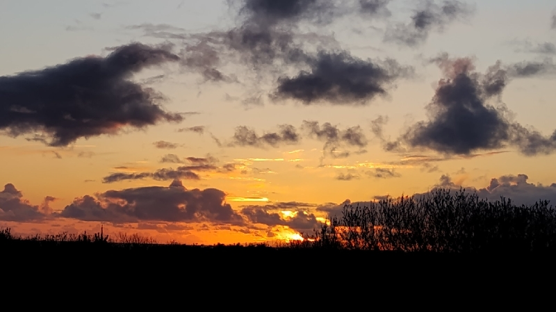 Fundraiser by Lex Johnson : Help a Family Move to a Safer Home