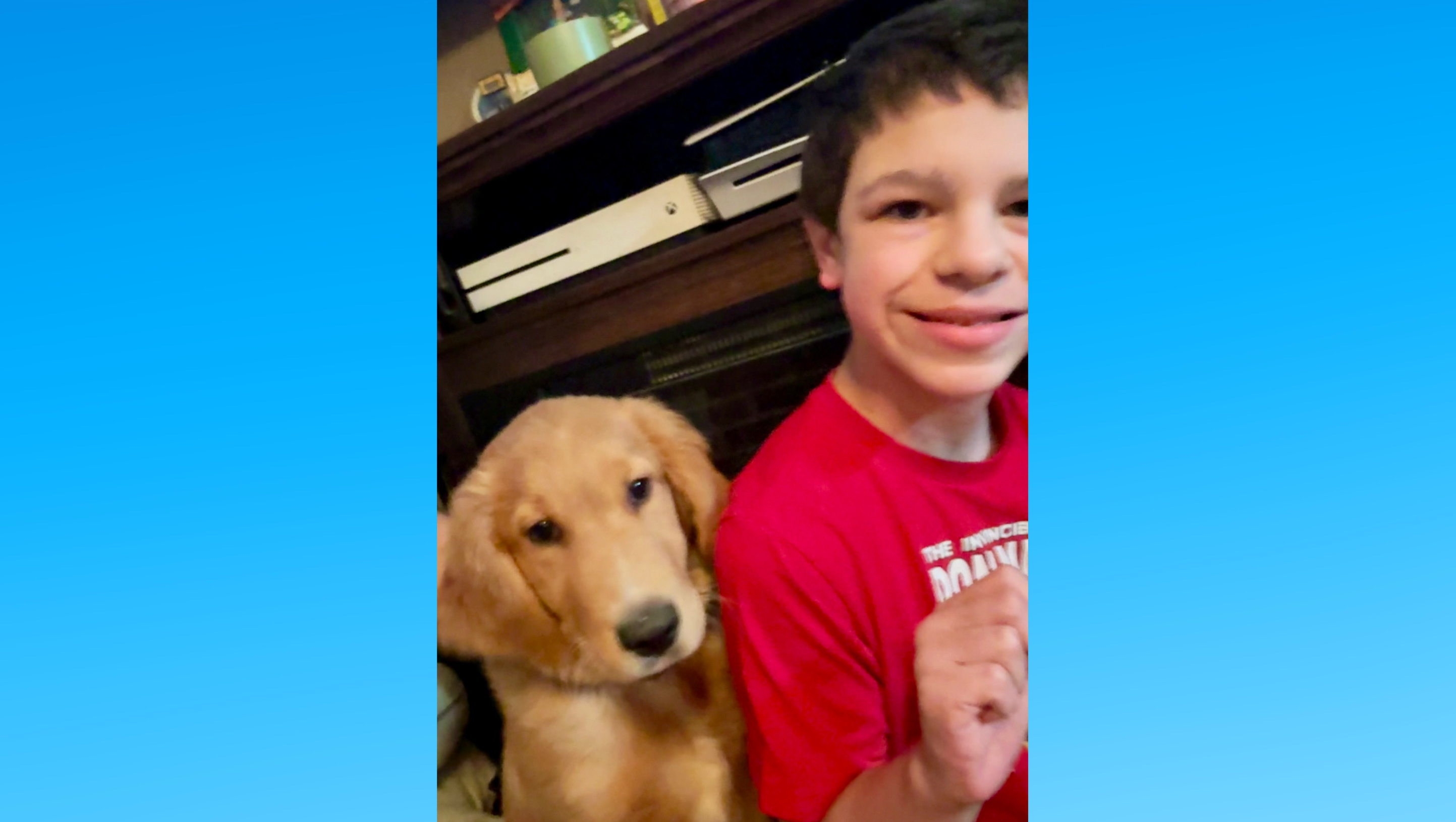 Fundraiser by Alison Boesch : Lucas and Ollie: A Bond for Safety