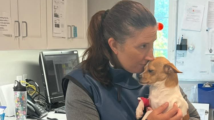 Fundraiser for Denise Kotwicki by Rose Zook : URGENT: help Denise keep ...