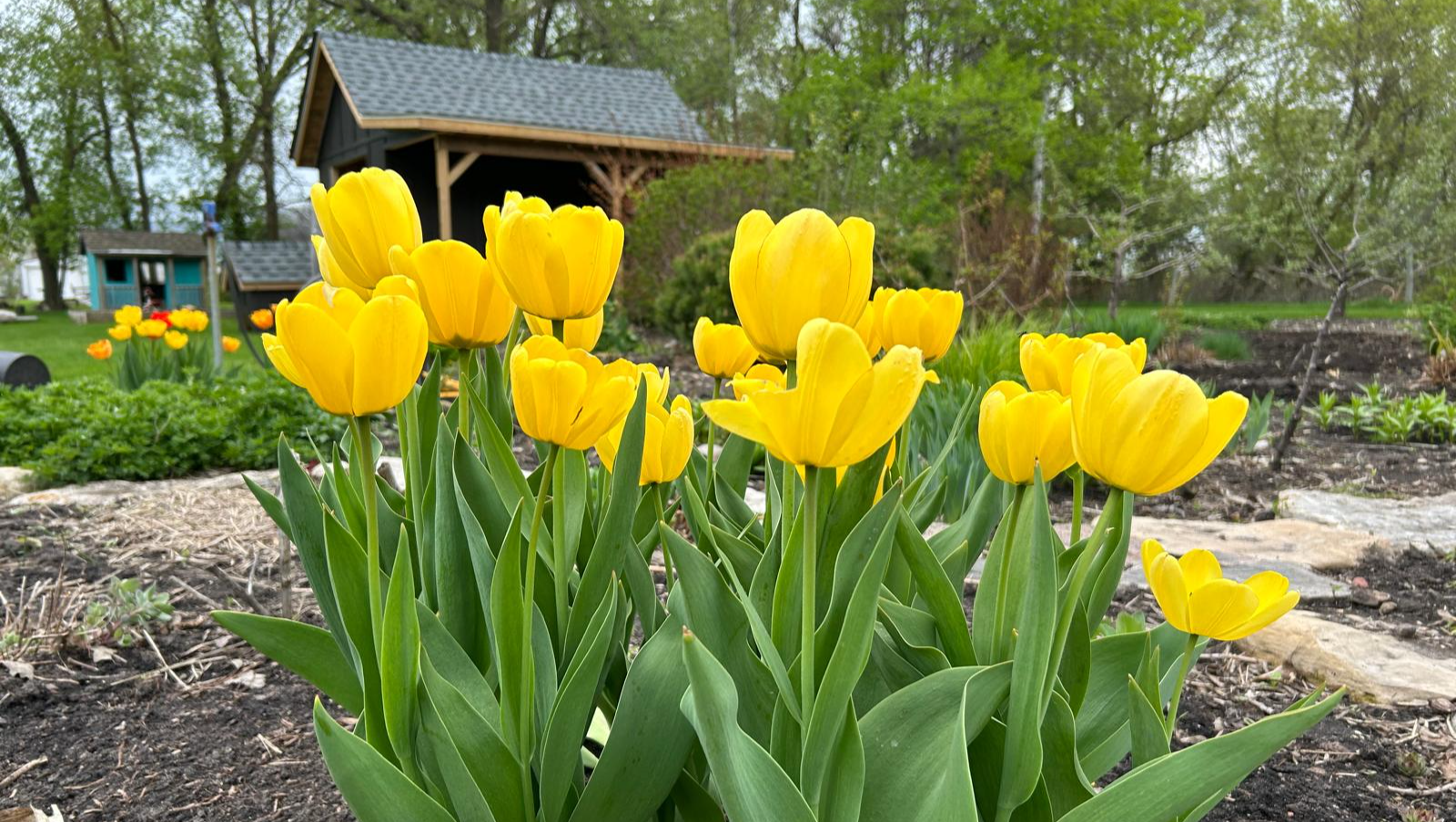 Fundraiser for Jeannine Penner by Waylan Wiggers : Jeannine's Journey