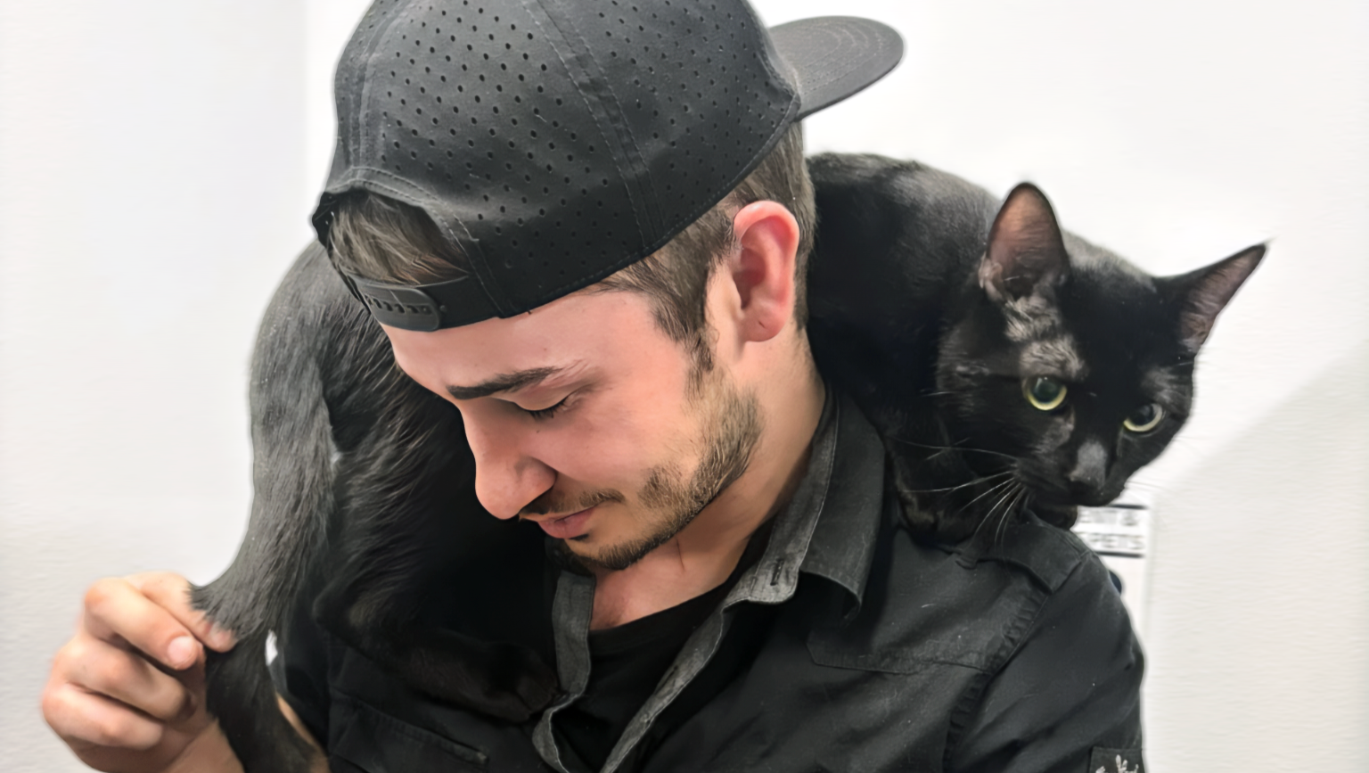 Fundraiser by Rafael Perez-Vargas : Help Kyle Save the Cat That Saved Him