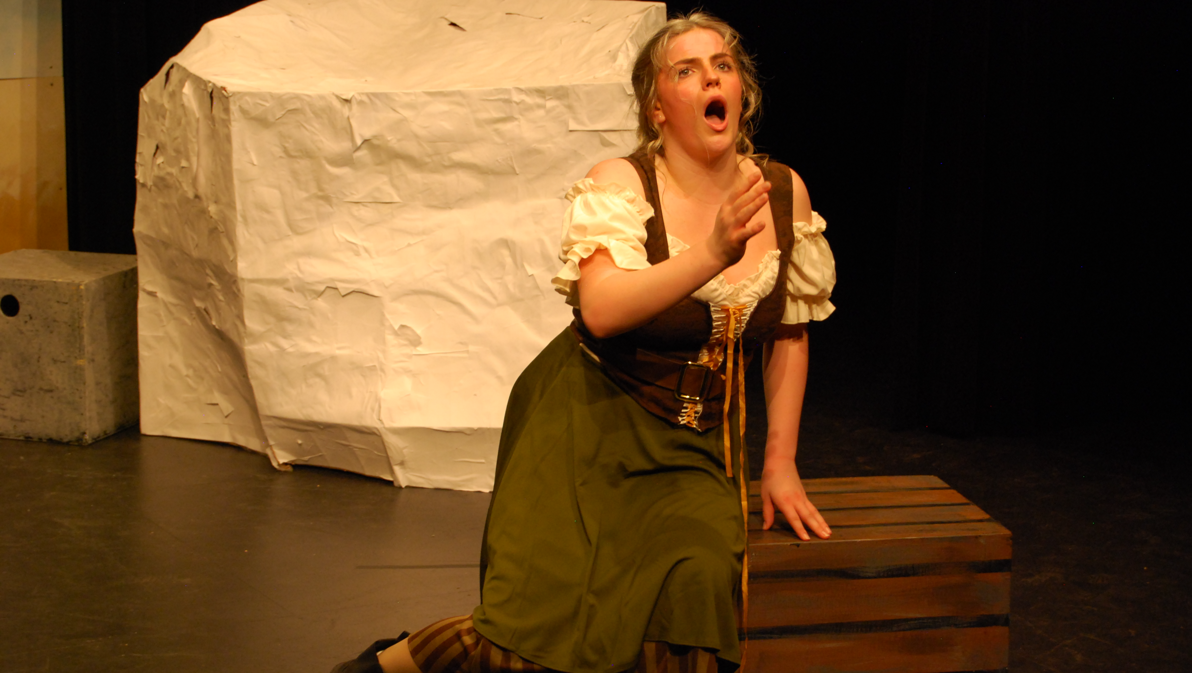 Fundraiser by Annabelle Sweet : Support Annabelle's Opera Summer Program