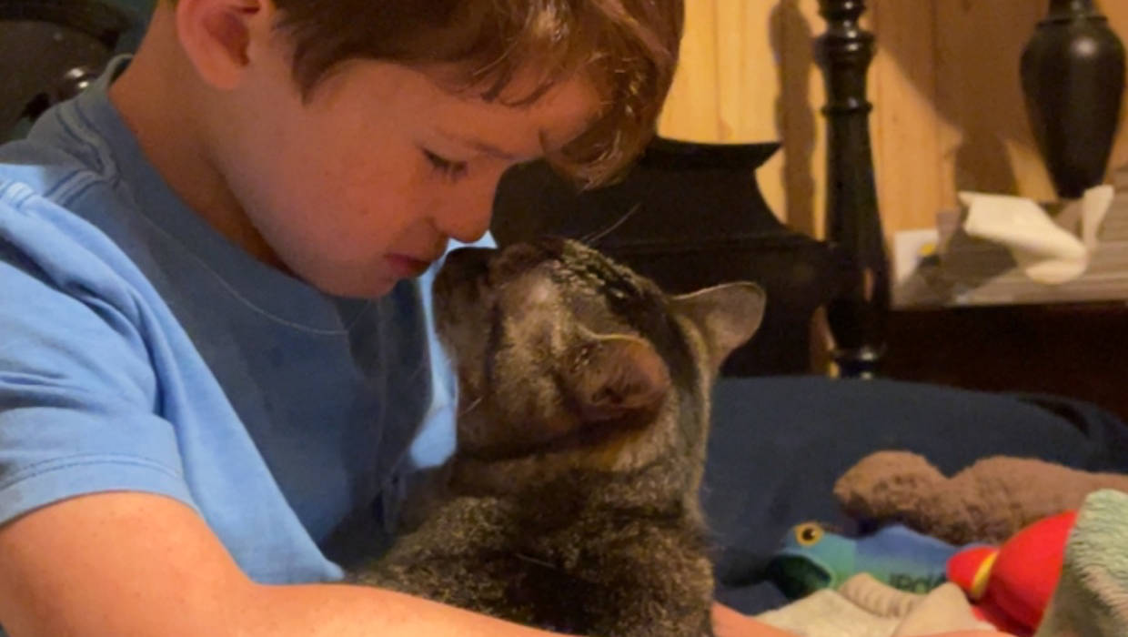 Fundraiser by Noah Byers : Emergency Surgery for Mona Lisa