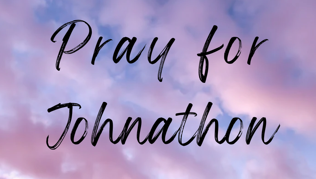 Fundraiser for Paula Timms by Cathryn Flanders : Help Johnathon Heal ...