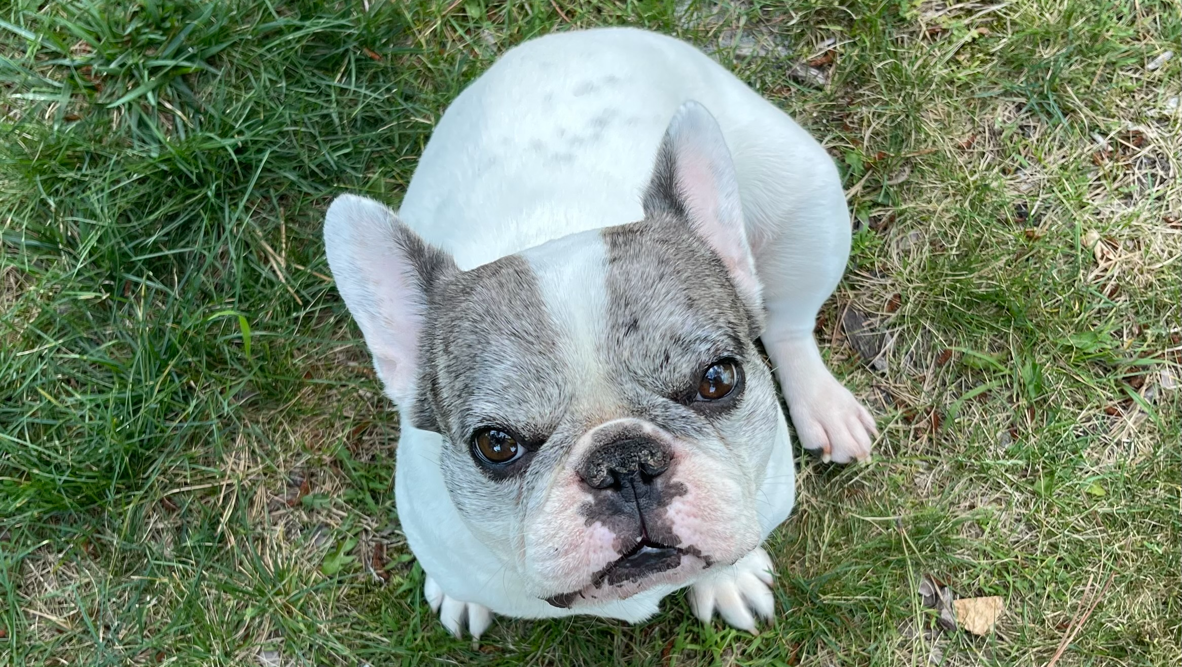 Fundraiser by Mandy Semelsberger : Zoie's Battle: Support Her Life ...