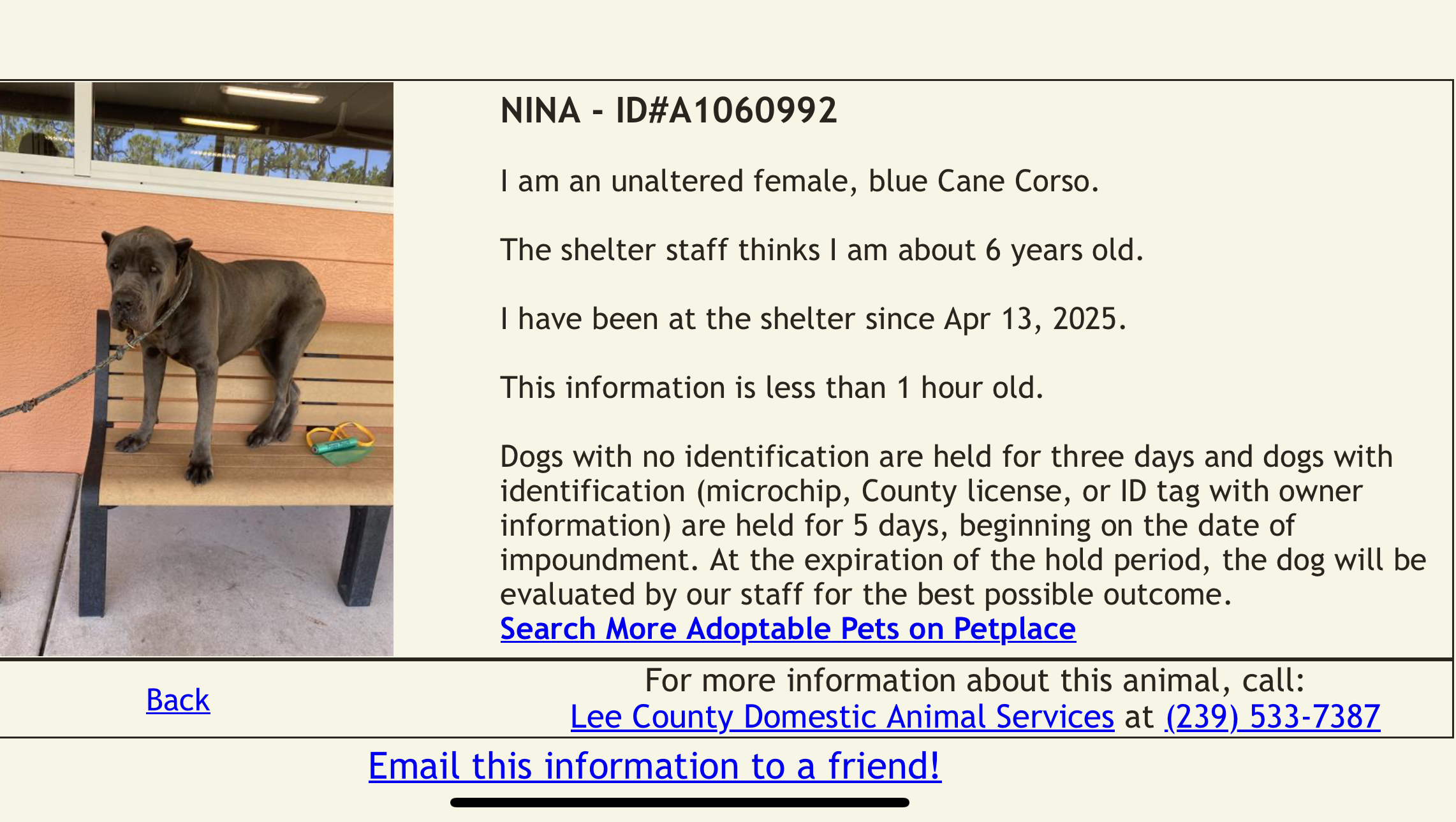 Fundraiser by Heidi Inman : Transport Nina to Phoenix for Care