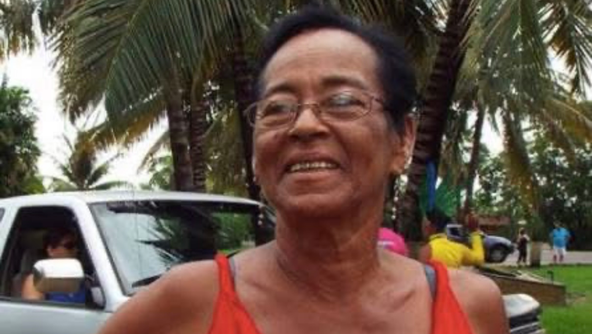 Fundraiser for Julia's Guesthouse by AJ Winborne : Honoring Julia ...