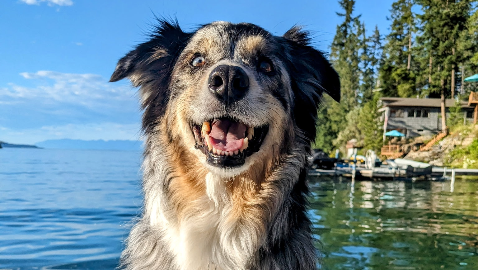 Fundraiser for Anna Williams by Michelle Cline : Support Anna with ...