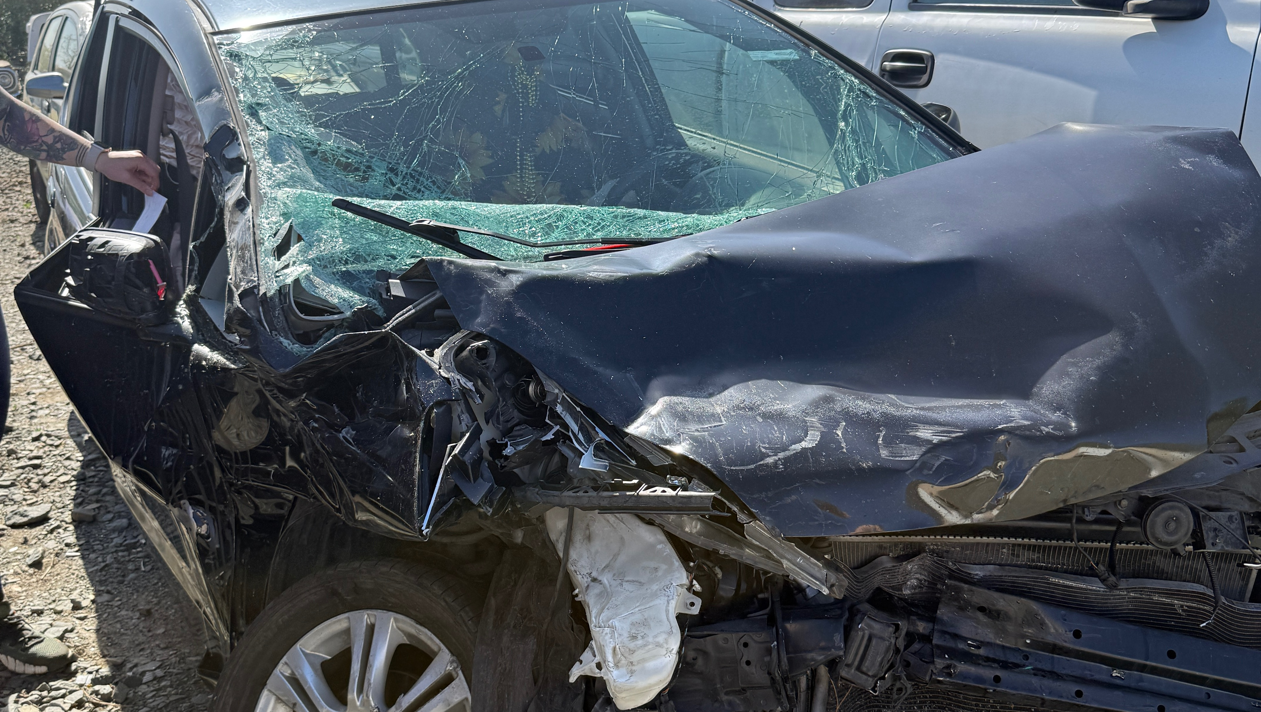 Fundraiser for David Orcutt by Ashleigh Chima : Support Lexi's Medical ...