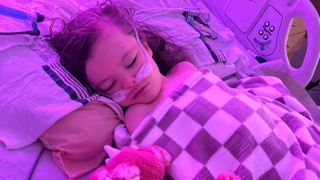 Fundraiser for Courtney Knoch by Cara Skinner : Juno's Journey