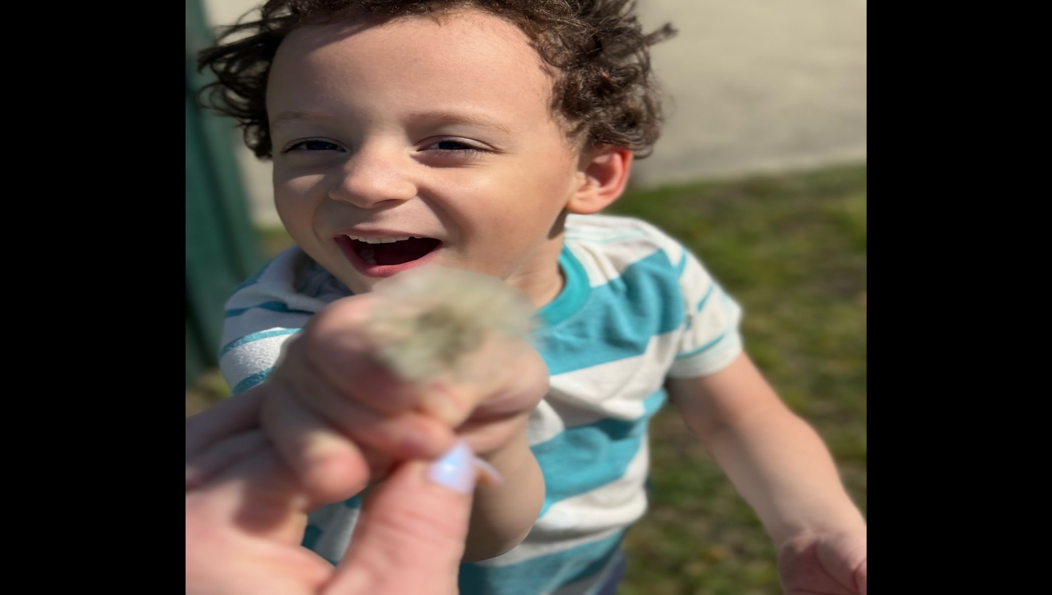 Fundraiser for Taylor Marshall by Meghan Ashton : Eli Marshall and The Marshall Family: Love and ...