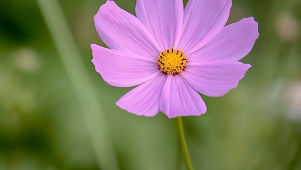 Fundraiser for Shanita Jones by Craig Kullmann : Lets support Brandon ...