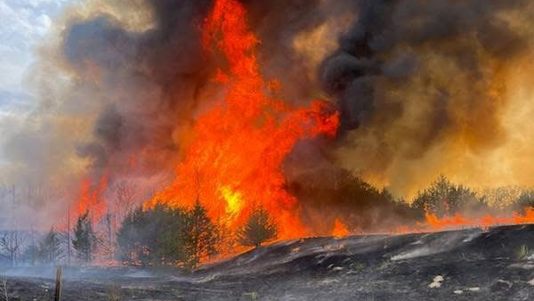 Fundraiser for Haley Miller by Chloe Gillespie : Miller Family Fire Relief