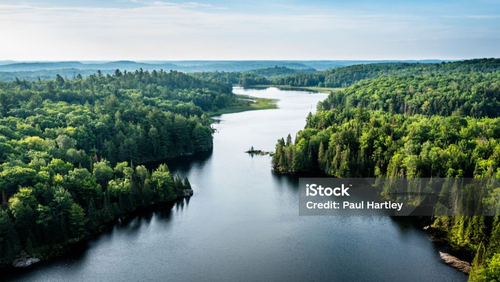 Fundraiser by Ron Strong : Help Ron and His Wife Stay Afloat