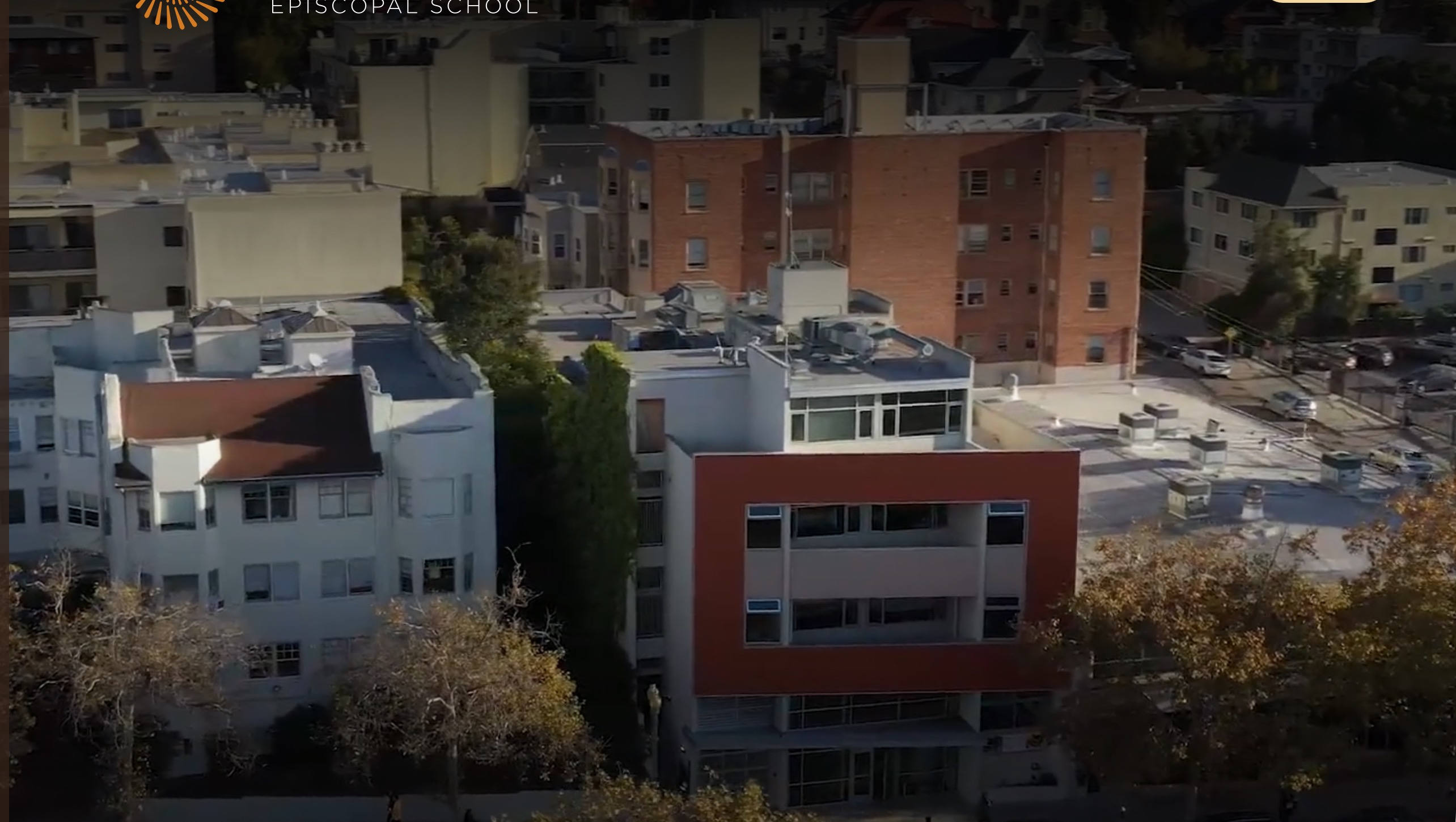 Fundraiser for Cynthia Soito by Selia Warren : Support Lena Kritzberg’s ...