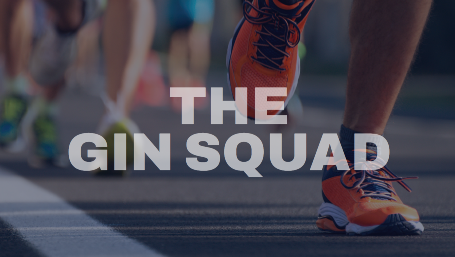 Fundraiser by Anthony Robinson : The Gin Squad Down Under's fundraiser ...