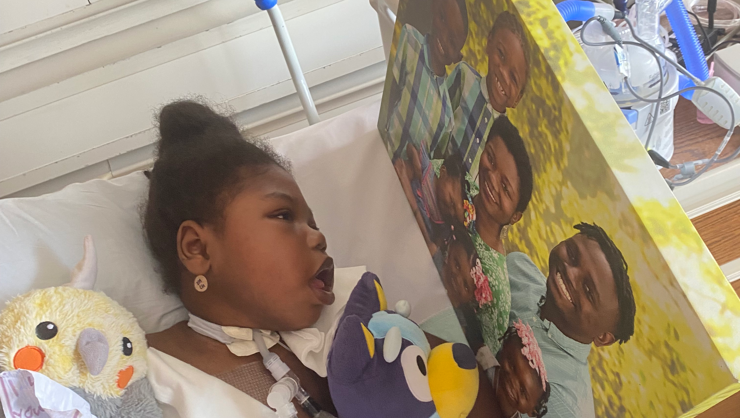 Fundraiser by Brittany Elizabeth Murray : Safe Return for Glendon Raphael