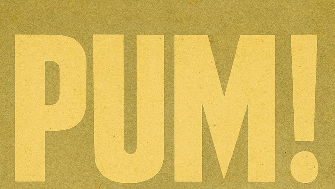 Fundraiser by Nasha Santiago : Ayúdanos a realizar PUM! — Tu apoyo hace ...