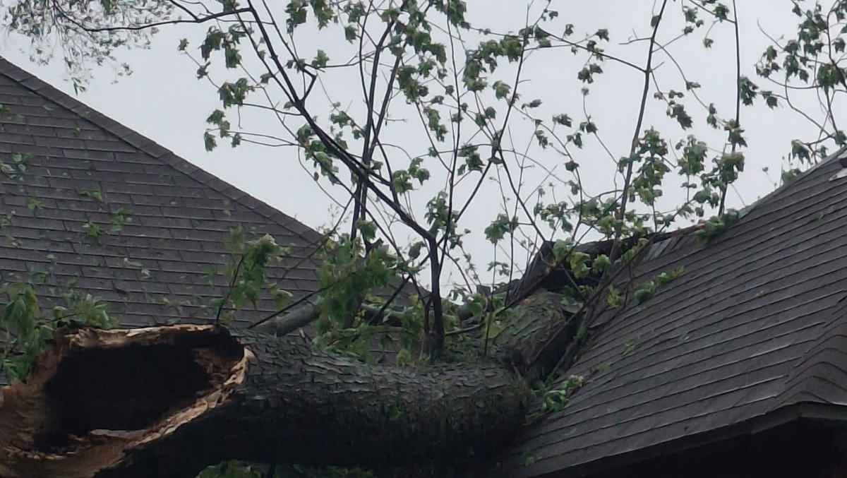 Fundraiser by Jennifer Trogdon : Help Springfield Family Recover from ...